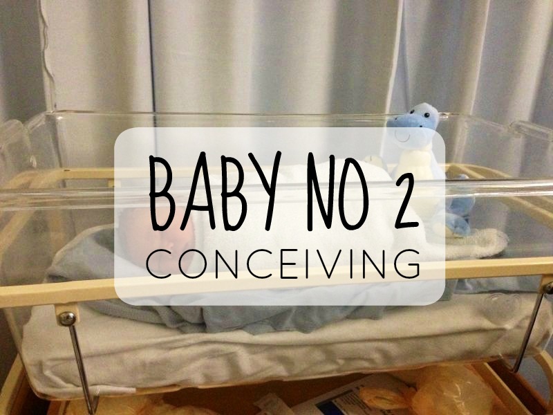 Baby Number 2 - Conceiving - Lamb & Bear