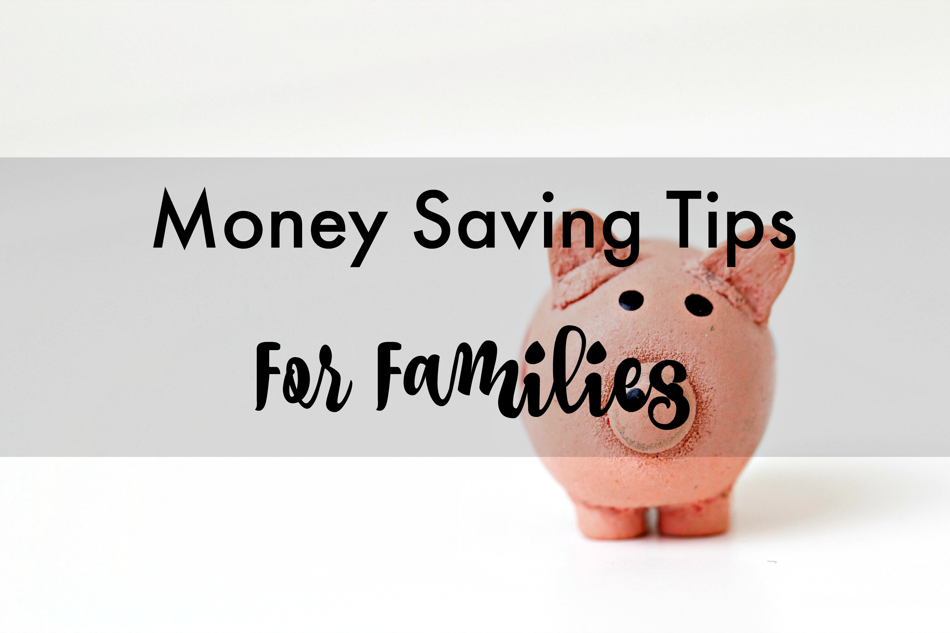 Money Saving Tips For Families Lamb Bear