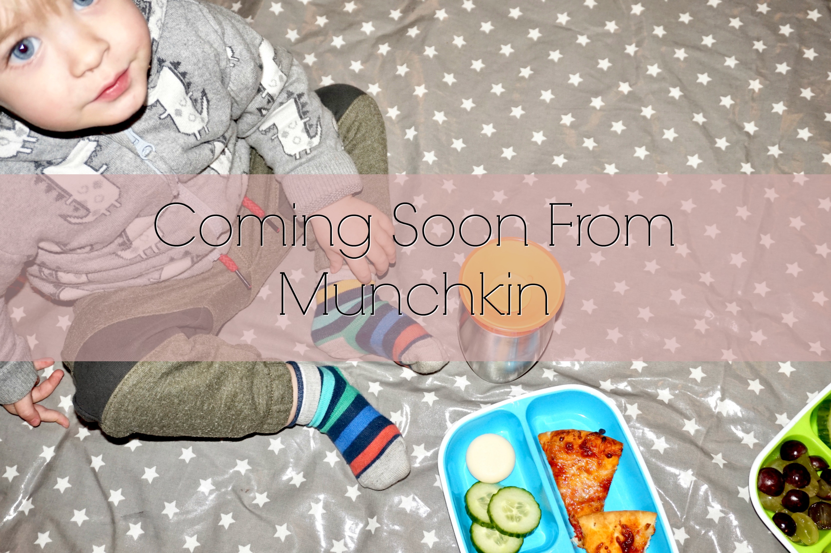 A Sneak Peek At What's Coming Soon From Munchkin - Lamb & Bear